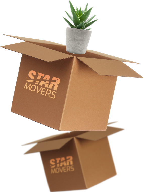 Star Movers